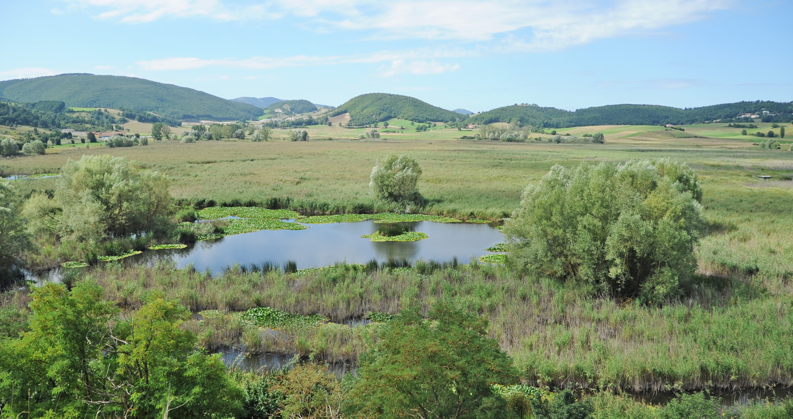 Nature Restoration Law, opportunità preziosa per salvare la biodiversità europea | Lipu ODV